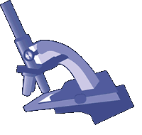Stage Micrometers for Reflected and Transmitted Light Microscopes from ...